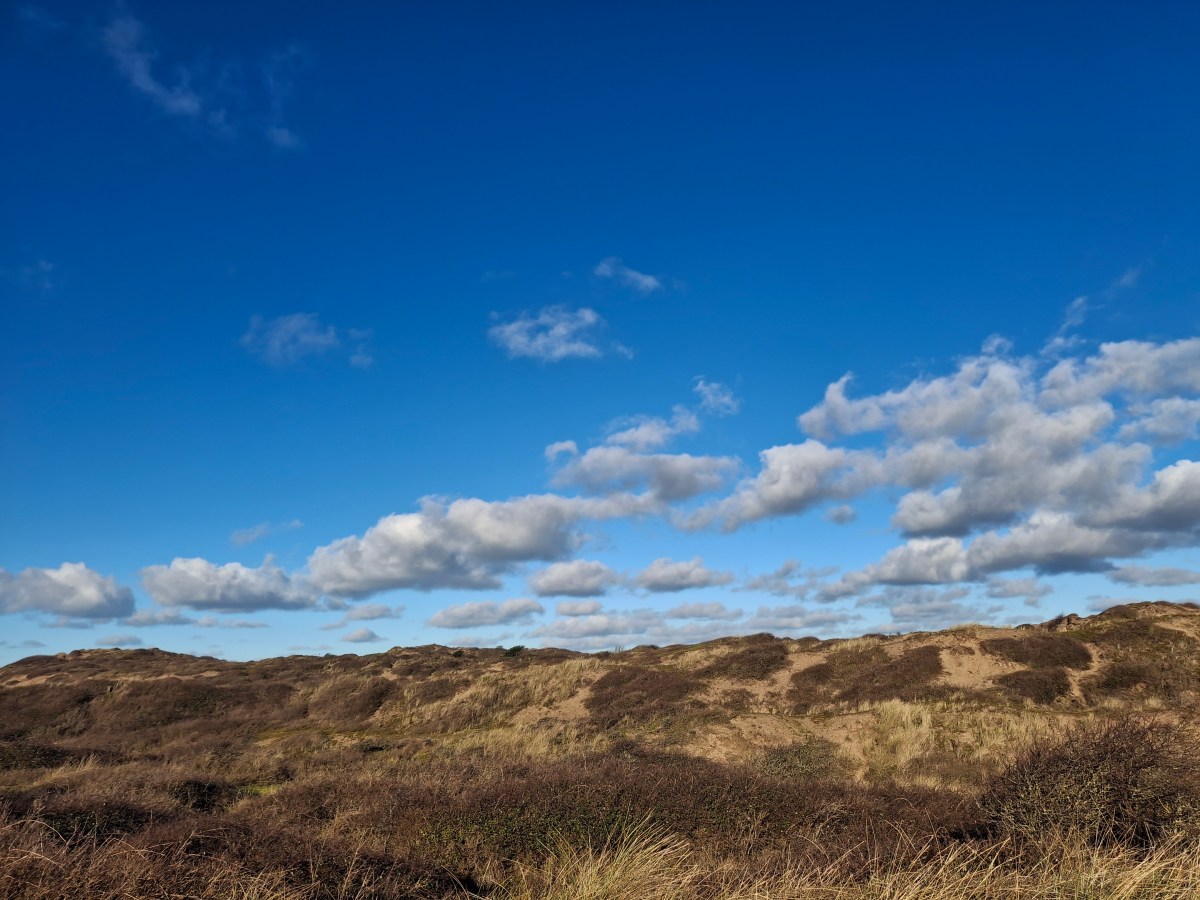 Dear 2025 (featuring a few of the books I read in 2024) – Life Lived